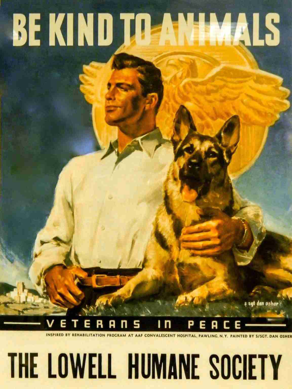 Lowell Humane Society | Animal Shelter & Humane Education