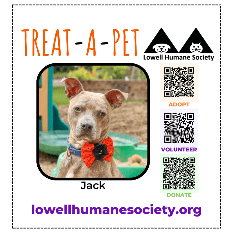 Lowell Humane Society | Animal Shelter & Humane Education