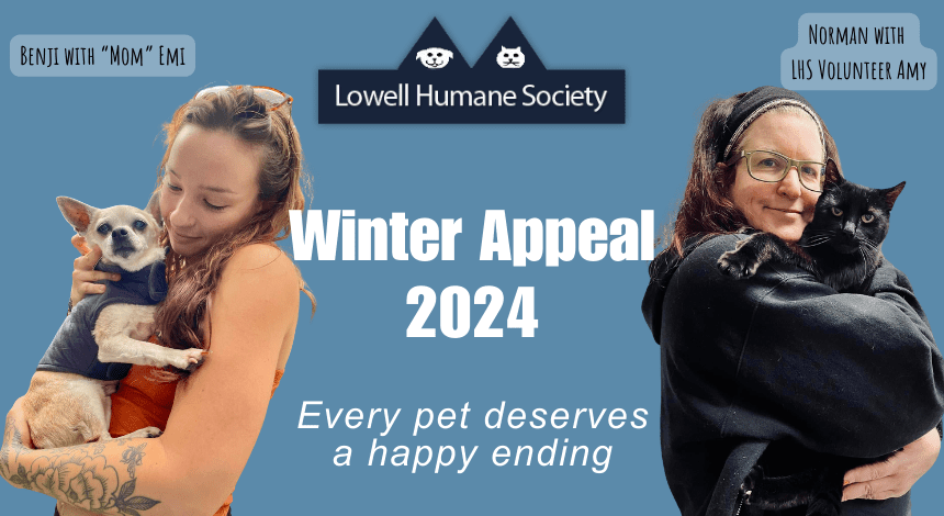 Lowell Humane Society | Animal Shelter & Humane Education