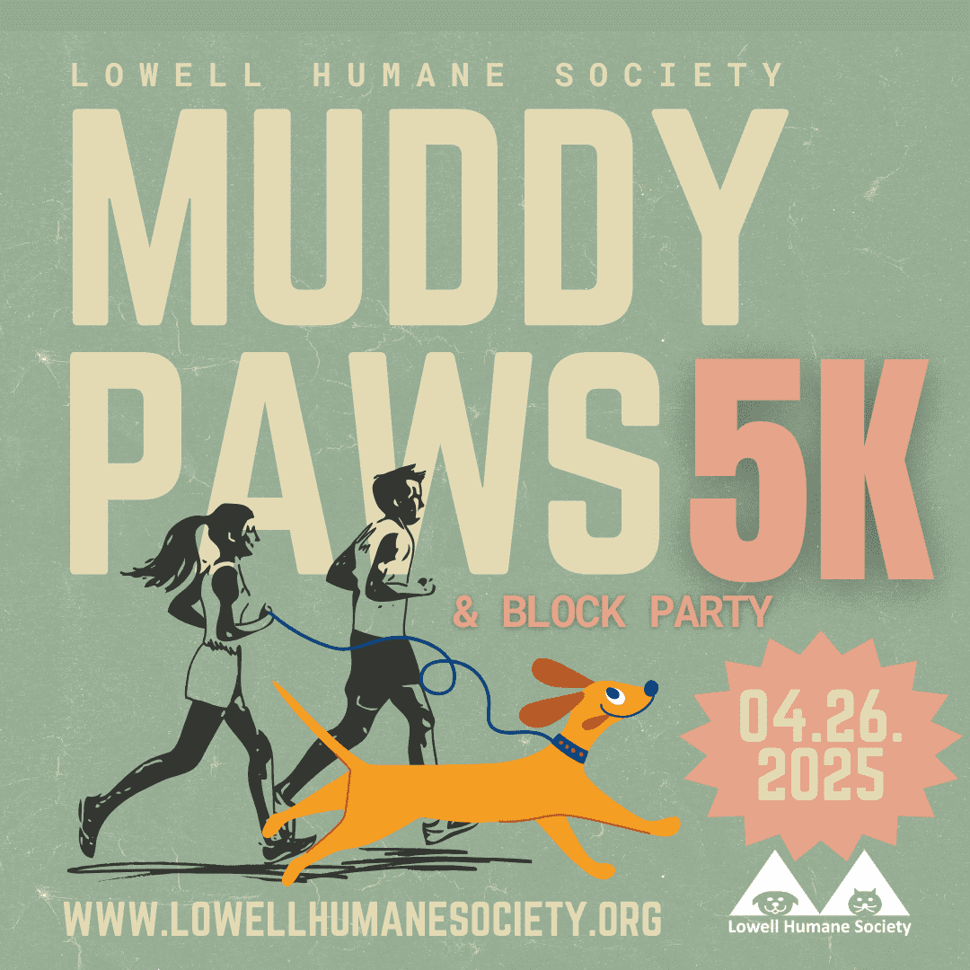 Lowell Humane Society | Animal Shelter & Humane Education