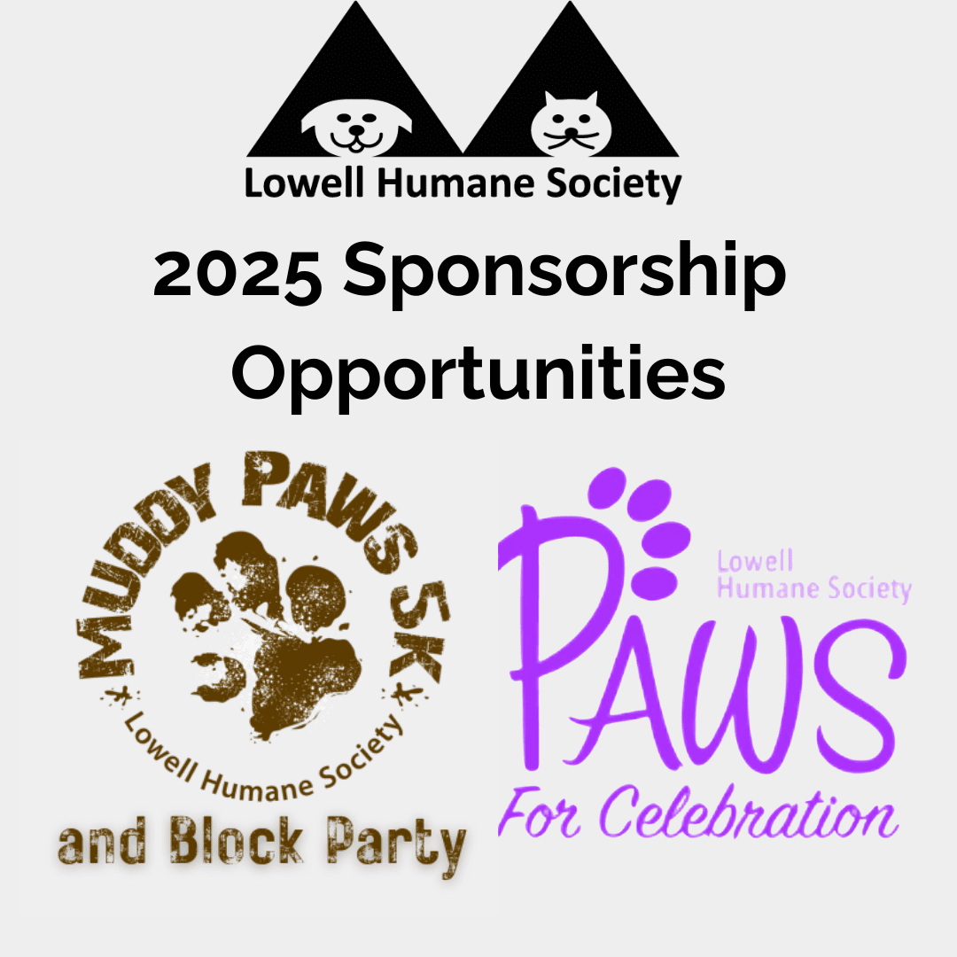 Lowell Humane Society | Animal Shelter & Humane Education